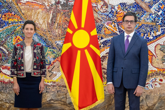 Шведската амбасадорка Ларсон денеска во Скопје | Сител Телевизија